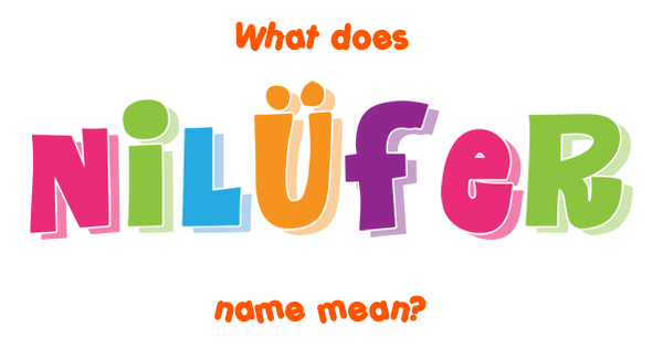Nilüfer name - Meaning of Nilüfer