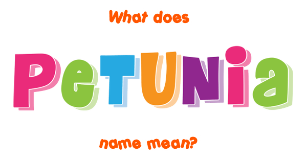 Petunia name - Meaning of Petunia
